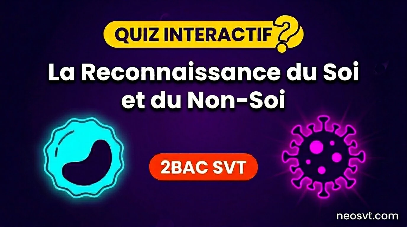 Quiz Interactif : La Reconnaissance du Soi et du Non-Soi – 2BAC SVT ...